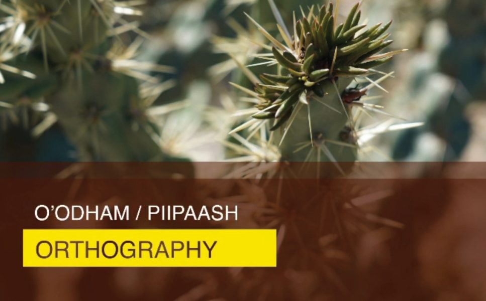 Cultural Resources Department Teaches O’odham and Piipaash Languages on ...