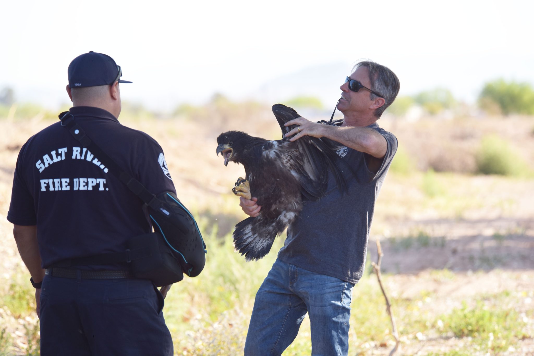 Community Members Participate in Bald-Eagle Banding Event | O'Odham ...