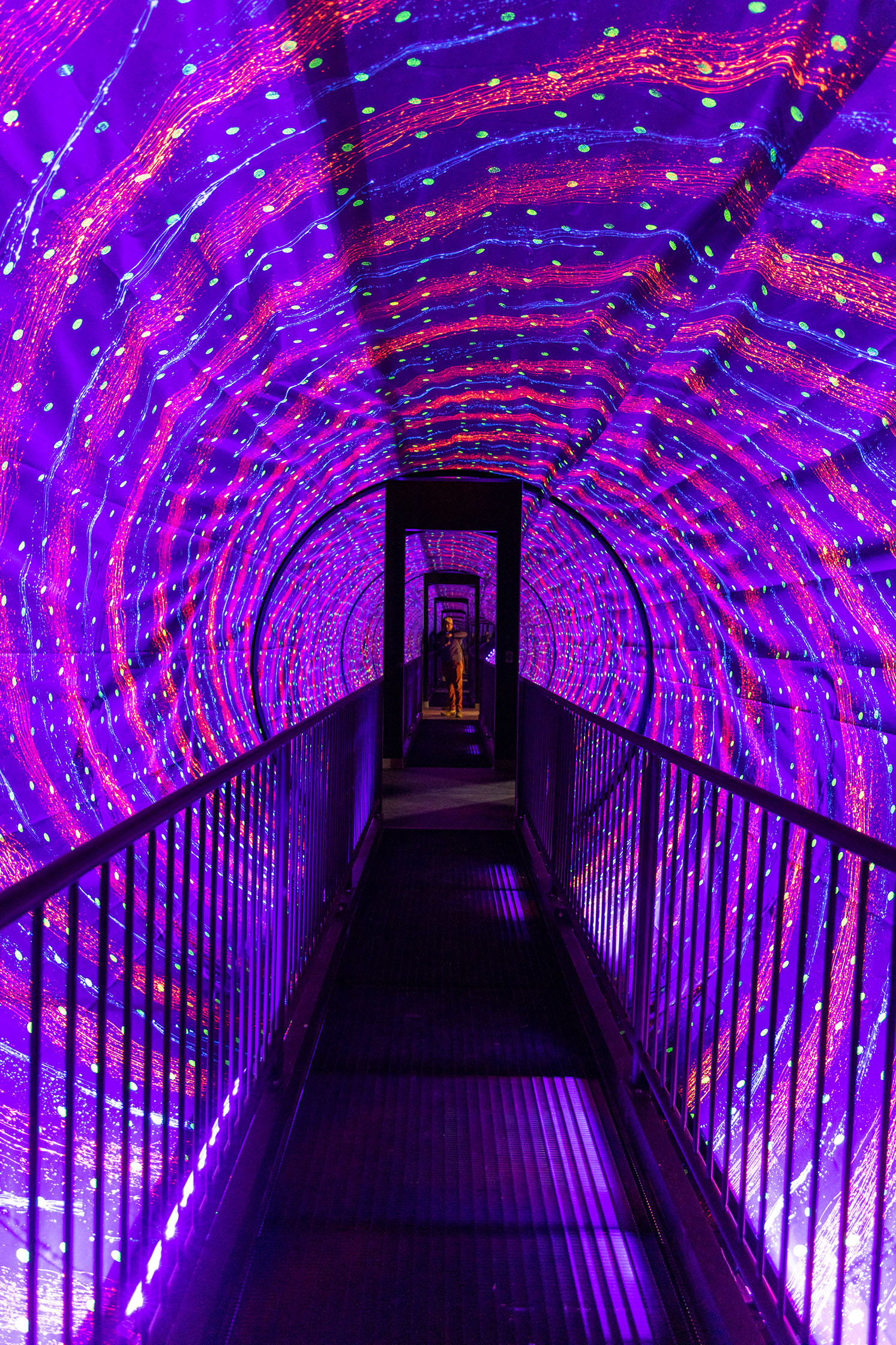 New Attraction Opens at Arizona Boardwalk | O'Odham Action News